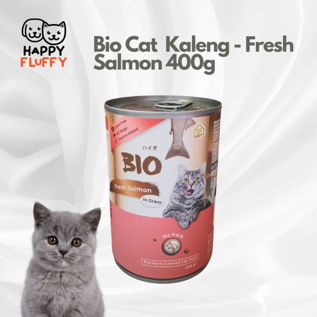 Jual Bio Cat Kaleng - Fresh Salmon - 400g | Shopee Indonesia