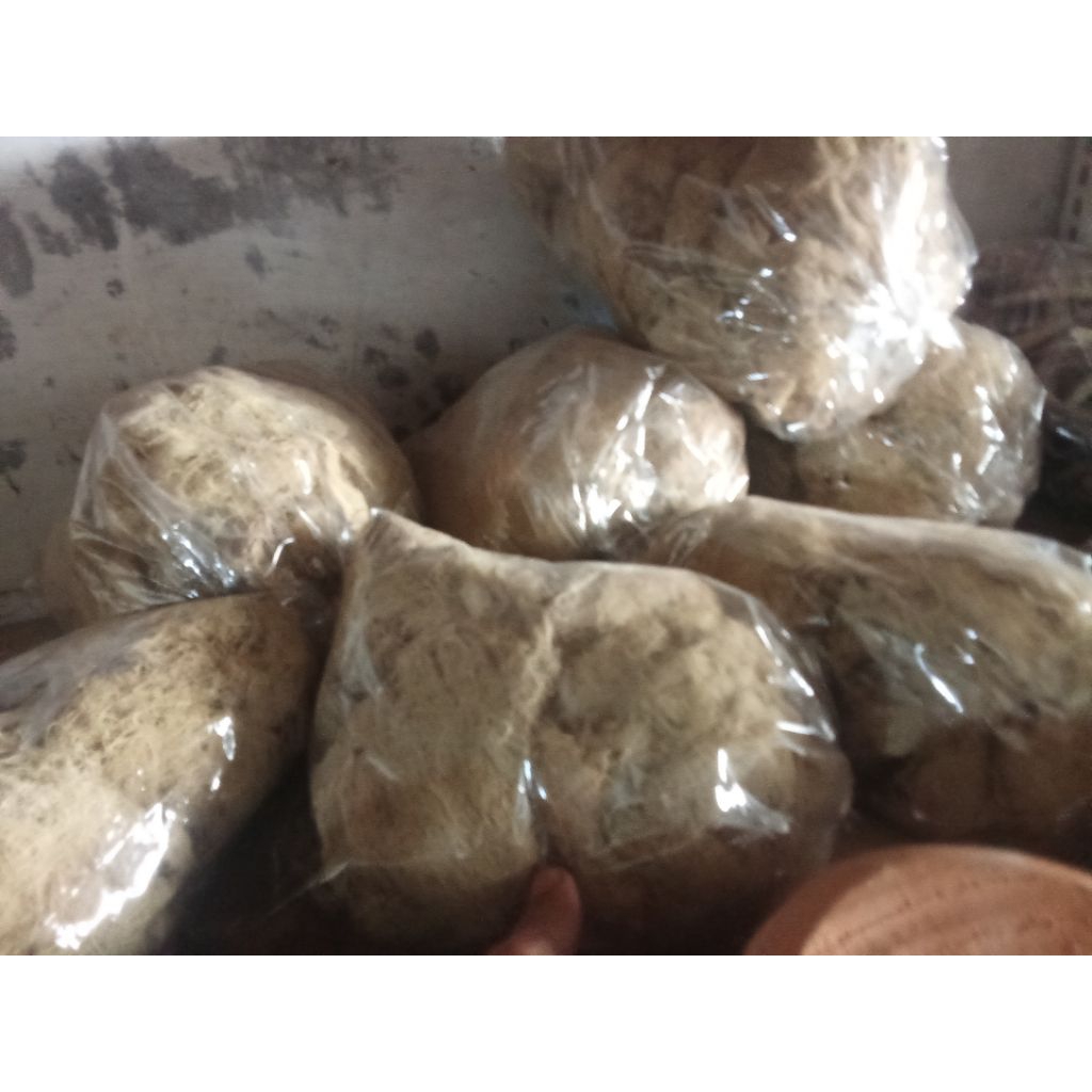 Jual KAYU ANGIN PER 1 BUNGKUS | Shopee Indonesia