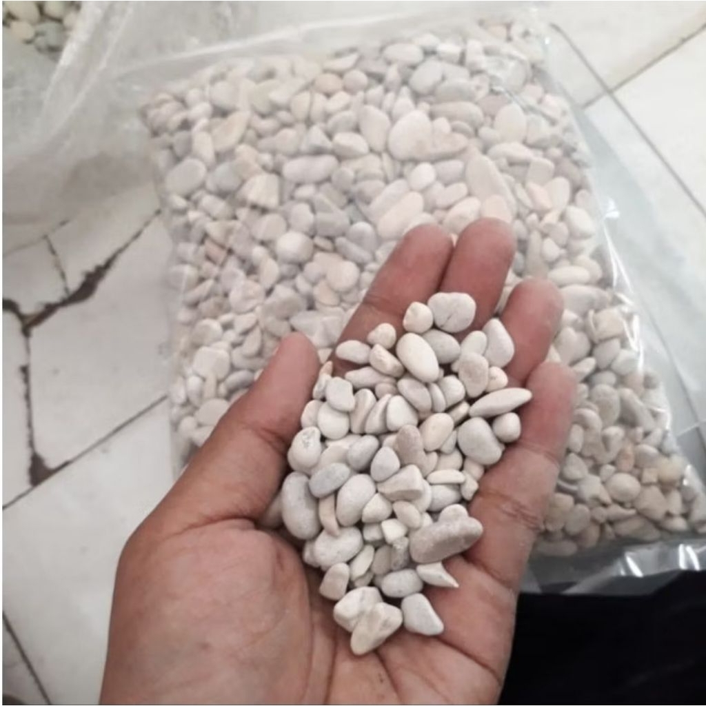 Jual Batu Koral Putih Size KECIL 1KG (Batu Mutiara Dekorasi Aquacape ...