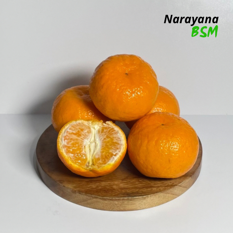 Jual Buah Jeruk Mandarin Murcot Wokam Wogan 1.000 Gram | Shopee Indonesia