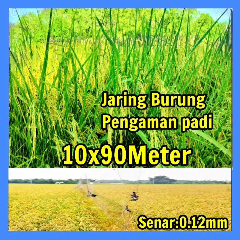 Jual Jaring Burung Sawah Jaring Emprit Jaring Padi 0.12mm | Shopee ...