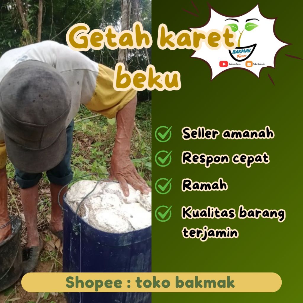 Jual GETAH POHON KARET LATEK LATEKS LATEX BEKU bidor balam bendo cair ...