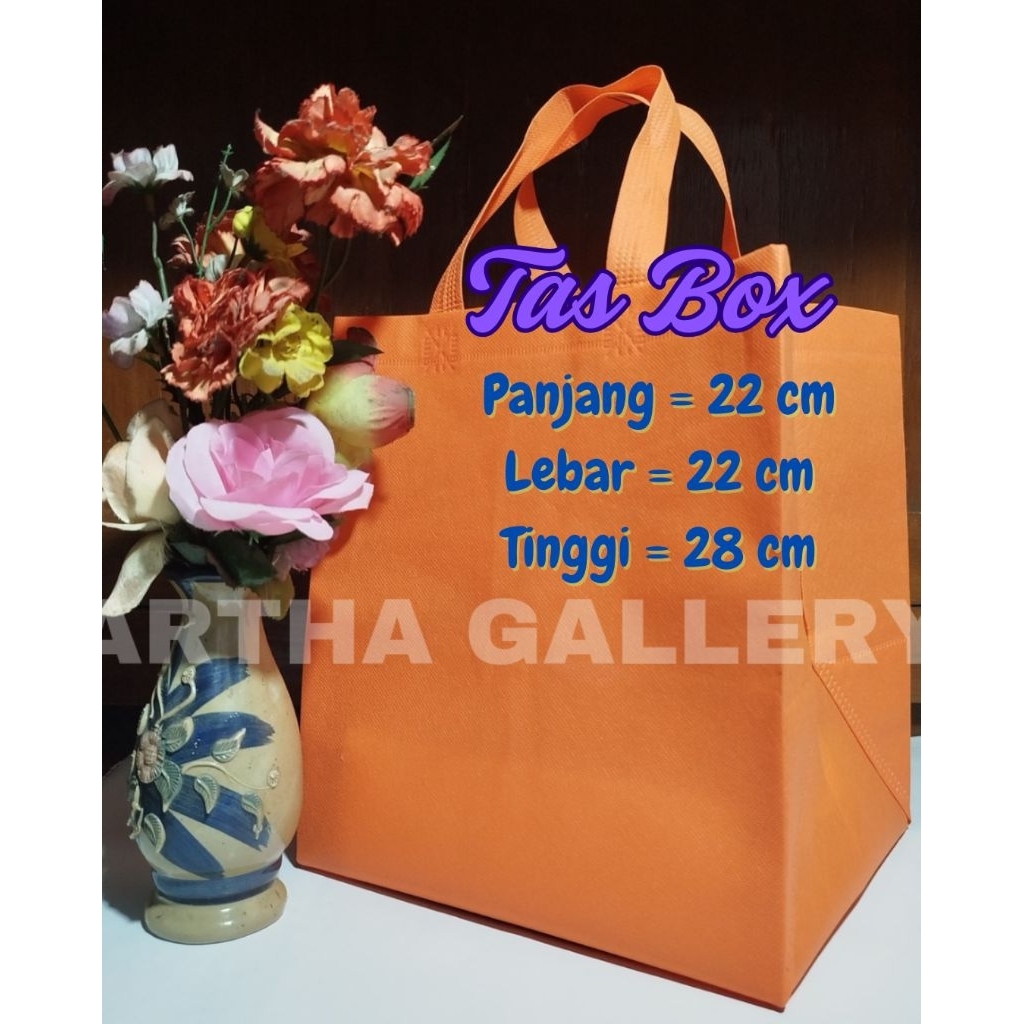 Jual 1 Bal (60 Pcs) Tas Box 22x22cm Tinggi 28cm / Tas Hajatan / Tas ...