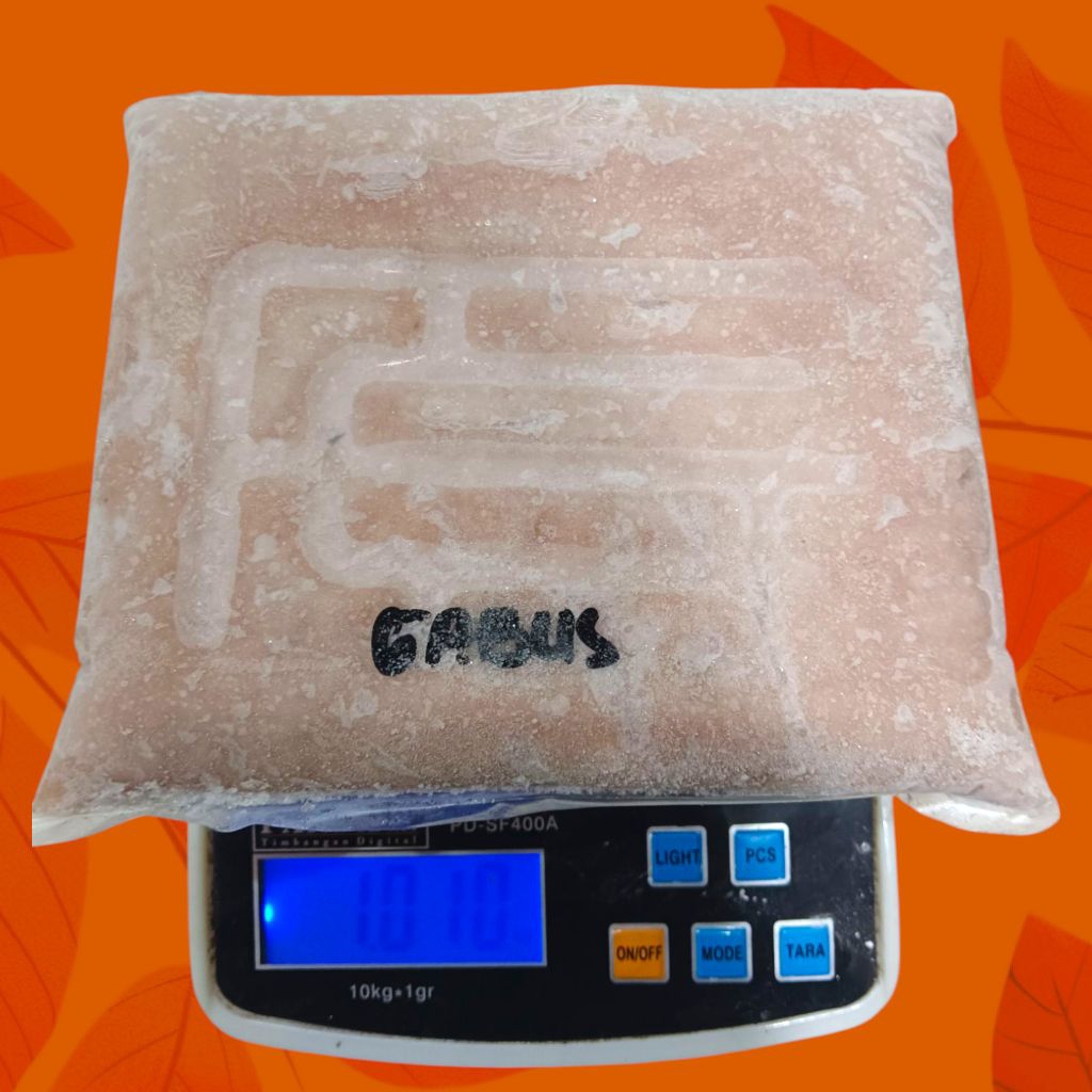 Jual Ikan gabus giling super (Ikan Giling Gabus super 1kg) | Shopee ...
