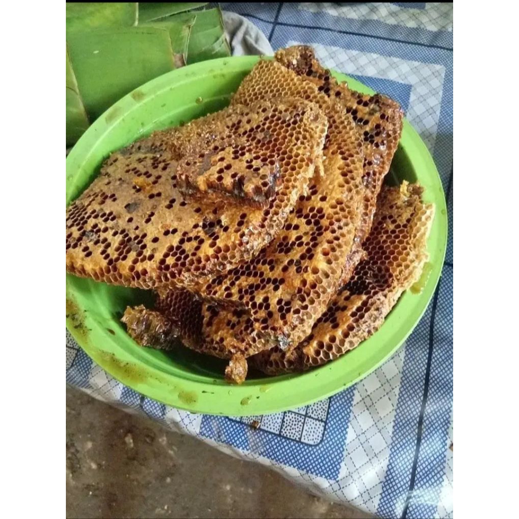Jual sarang lebah atau telur lebah larva asli termurah (1kg) | Shopee ...