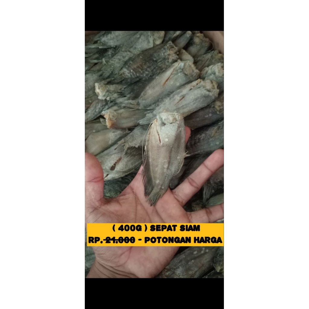 Jual Sepat siam kering / ikan asin ( 4 ons ) + siap di goreng + ikan ...