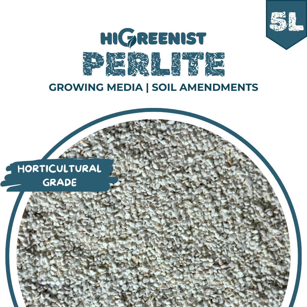 Jual Perlite (5L) 3-6mm - Media Tanam Perlite Porous Untuk Kaktus ...