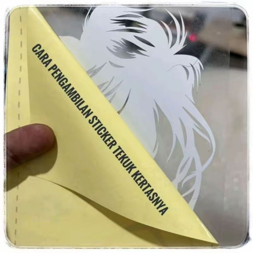 Jual B3, stiker kucing lucu, stiker kucing gemoy, kucing, kucing ...