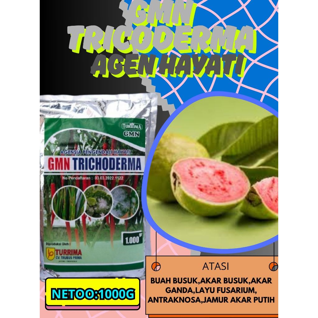 Jual ANTI LAYU !! Trichoderma Fungisida, Trichoderma Fungus Isi 1kg ...