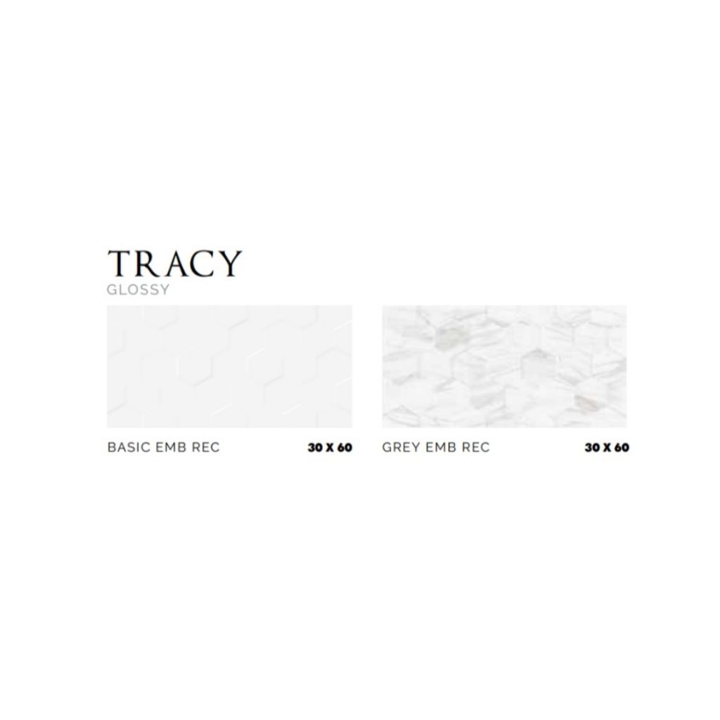 Jual KERAMIK MERK PLATINUM TIPE TRACY BASIC GREY RECTIFIED CUTTING ...