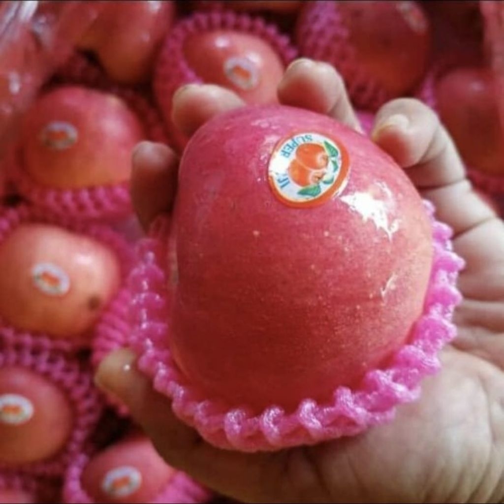 Jual Buah apel Fuji premium manis 1 kg | Shopee Indonesia