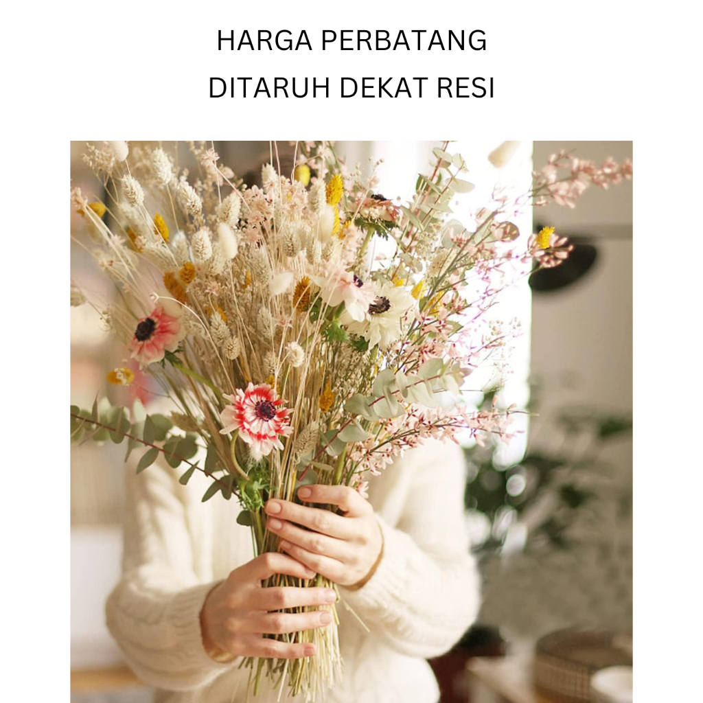 Jual HARGA PERBATANG BUNGA BUNNY TAILS | Shopee Indonesia