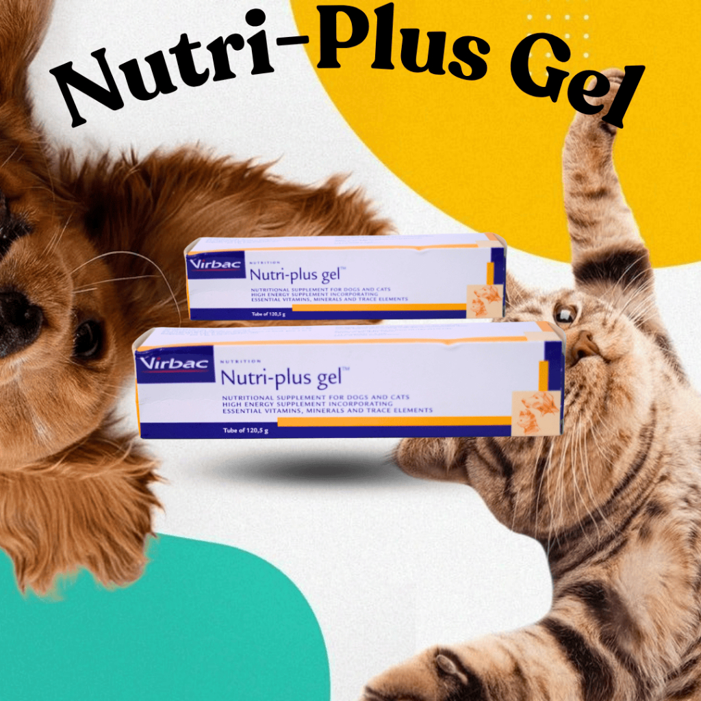Jual Virbac Nutri-Plus Gel ( Vitamin & Suplemen ) 120GR | Shopee Indonesia