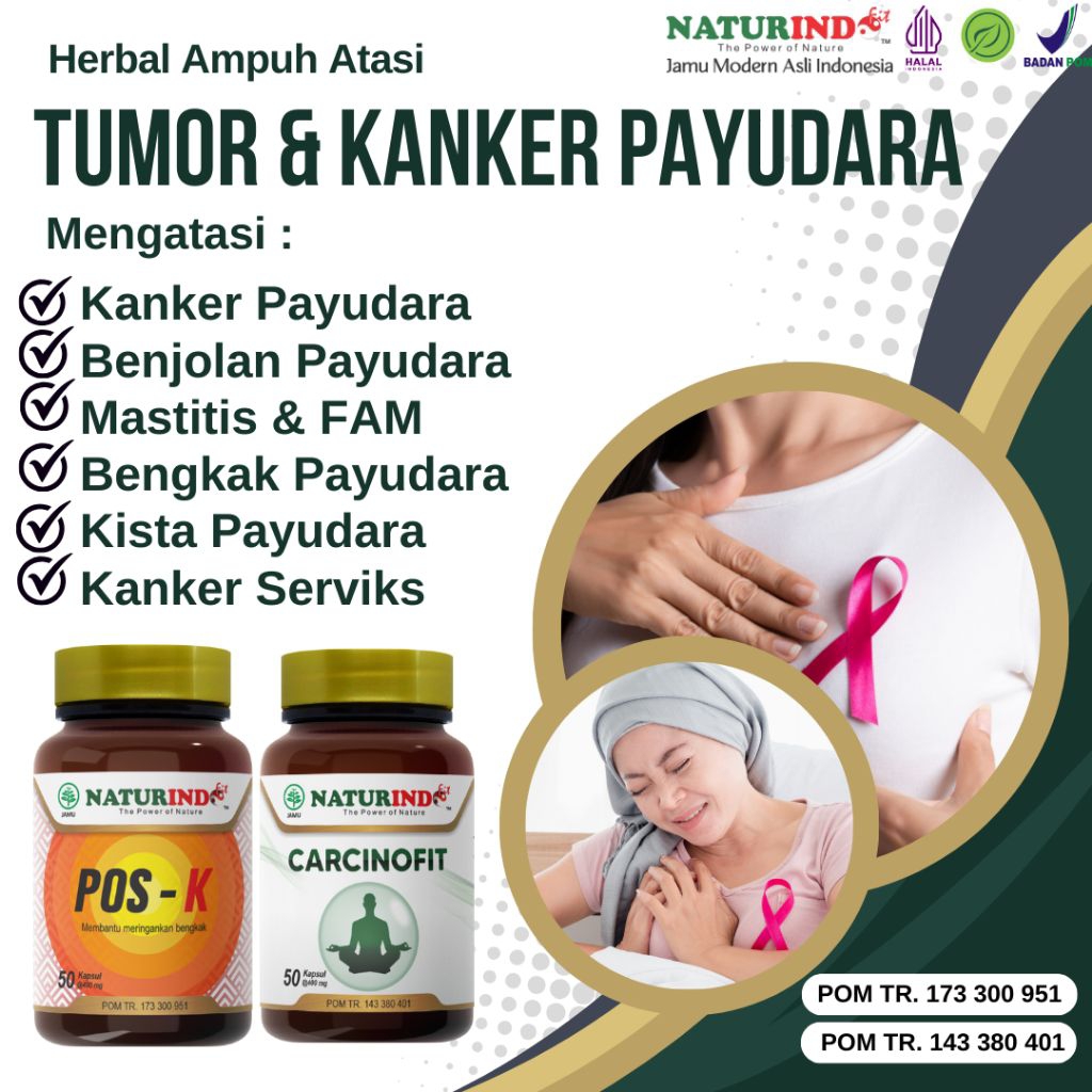 Jual Obat Benjolan Payudara Paling Ampuh Obat Kanker Payudara Tumor ...