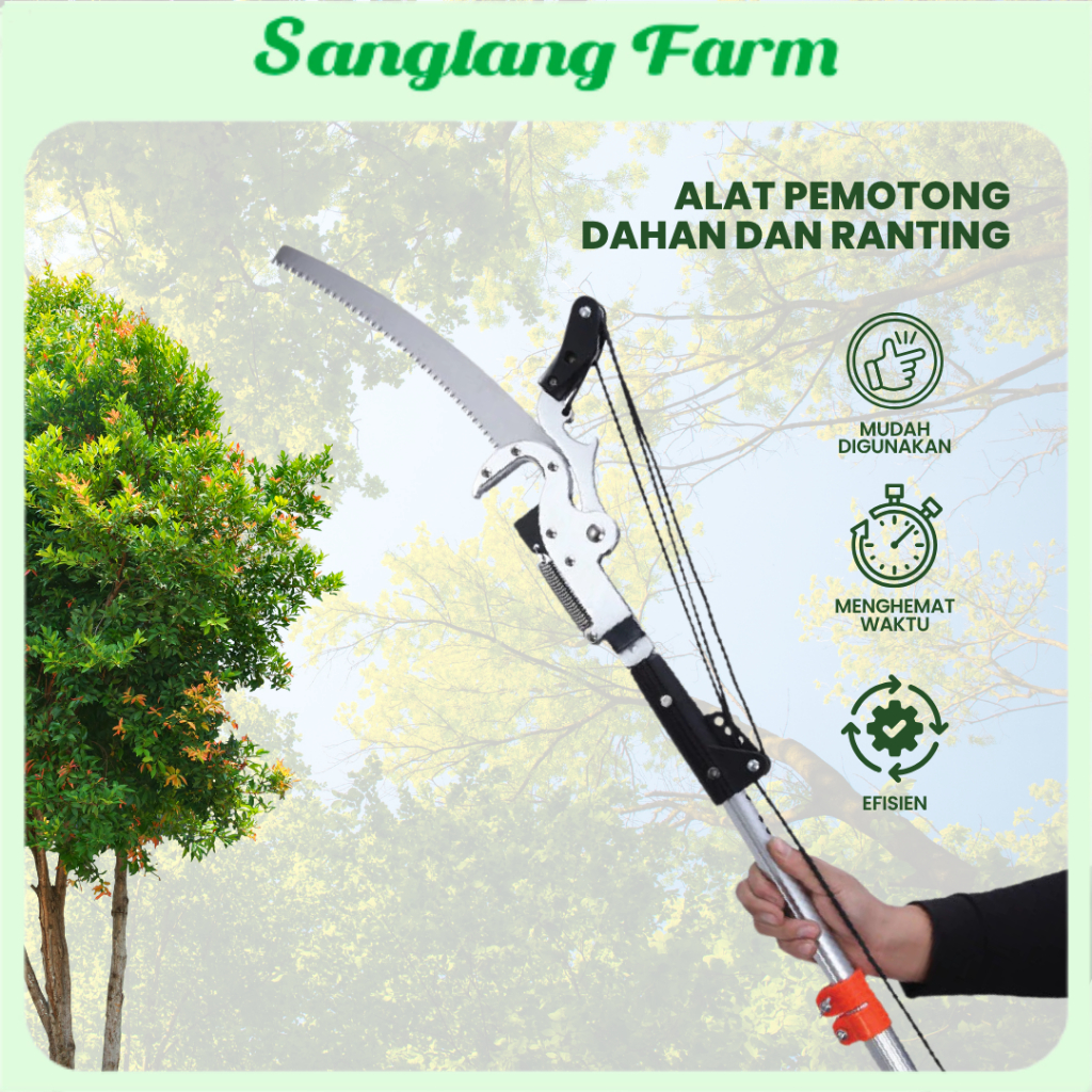 Jual Set Alat Tongkat Gunting Pemotong Dahan dan Ranting Pohon Tinggi ...