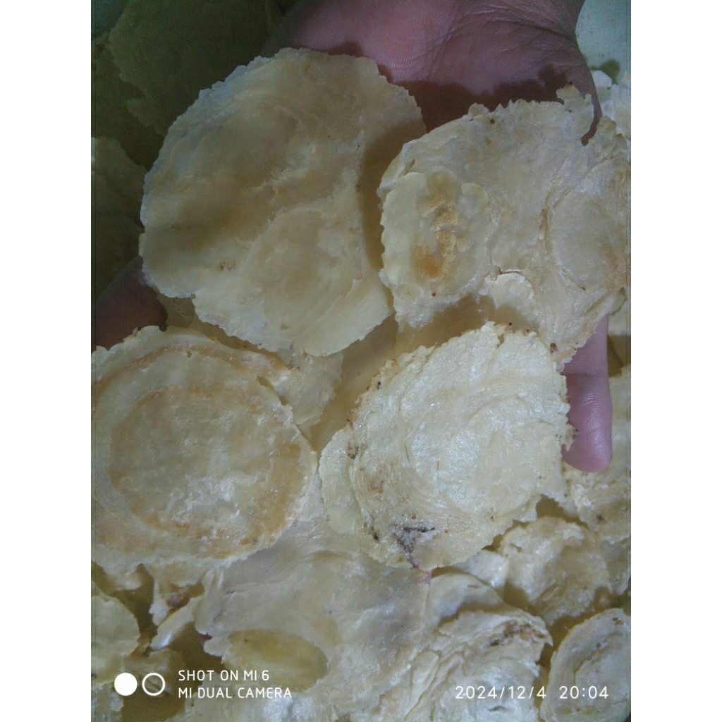 Jual EMPING MELINJO ASLI LIMPUNG || LB ( BIJI 4) SUPER || 1Kg | Shopee ...