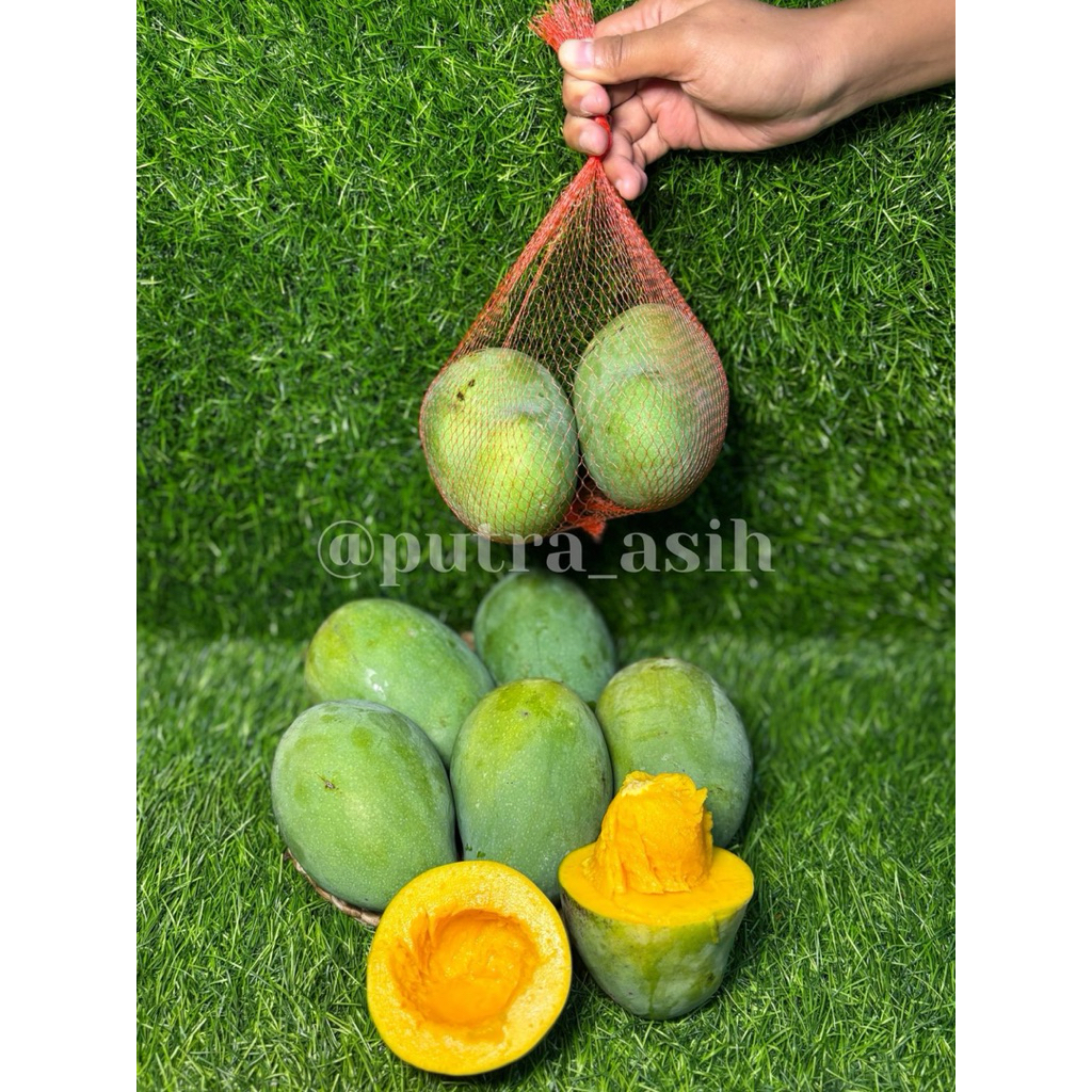 Jual Mangga Arum Manis Grade Super 1 kg | Shopee Indonesia
