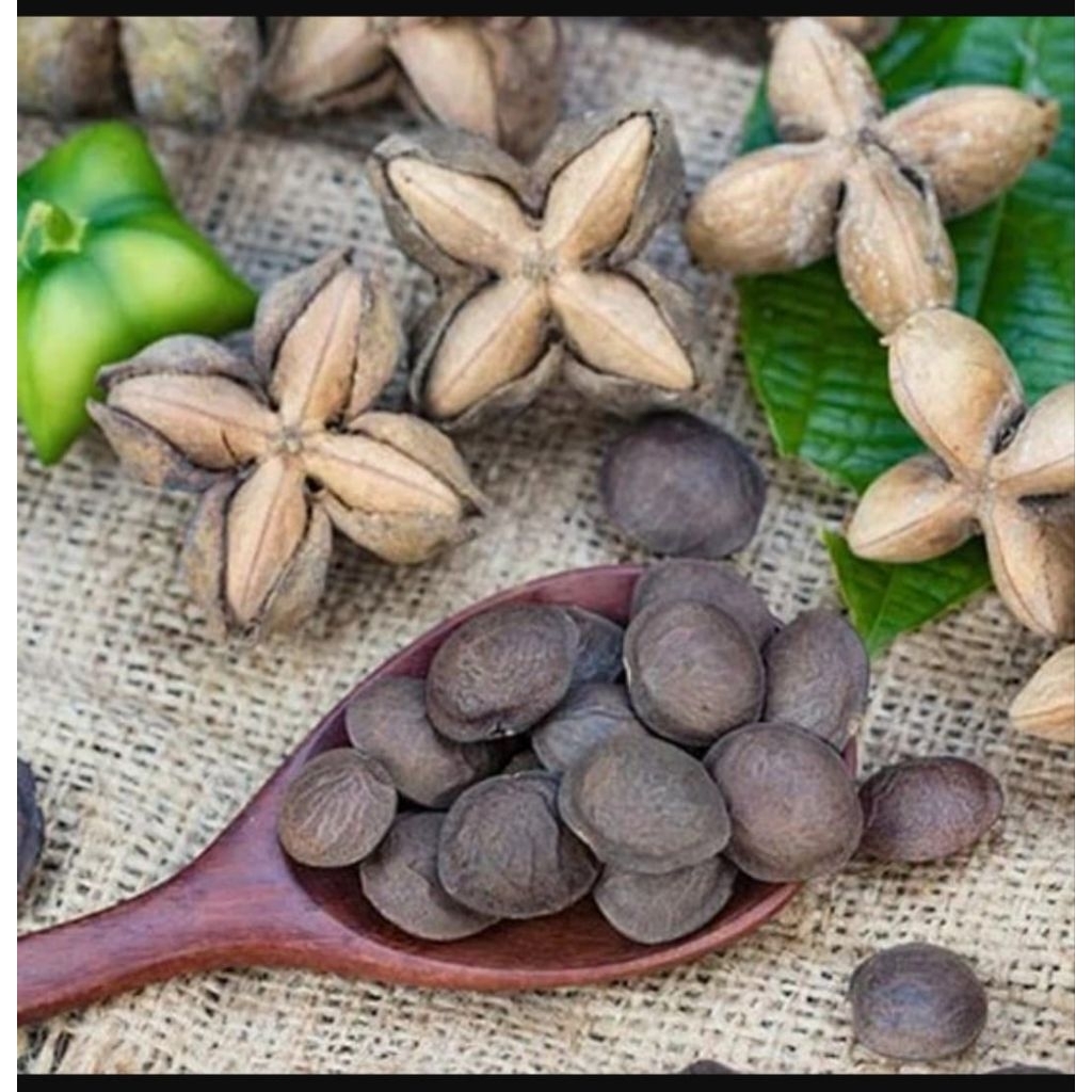 Jual 80 BENIH BIJI SACHA INCHI SUPER | Shopee Indonesia