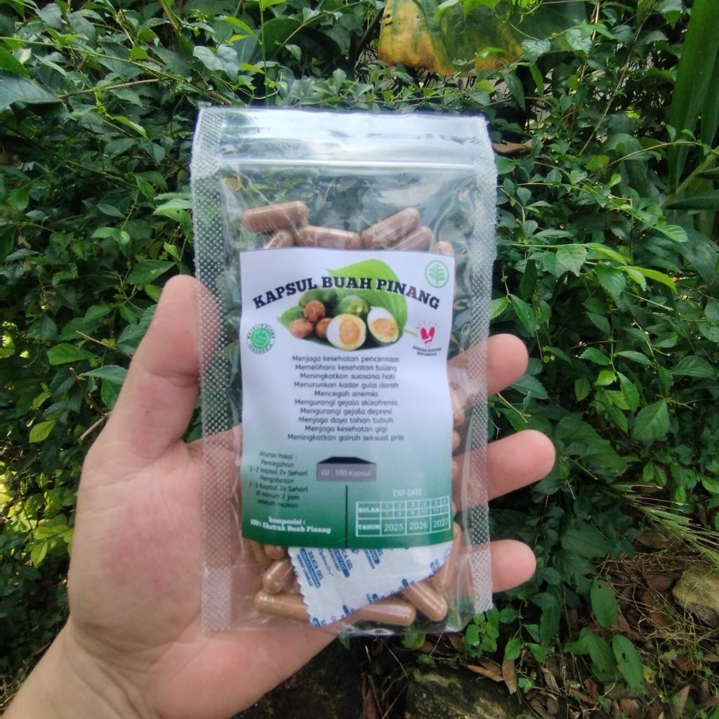 Jual Buah Pinang Muda / Jambe Kapsul Herbal Tradisional Kemasan Hemat isi 100 kapsul | Shopee ...