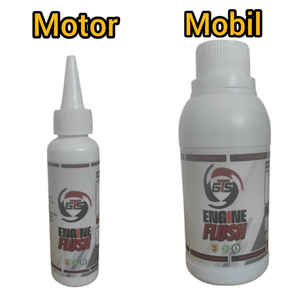 Jual ENGINE FLUSH 250 ML GTS Flushing Oli Mesin Motor dan Mobil ...