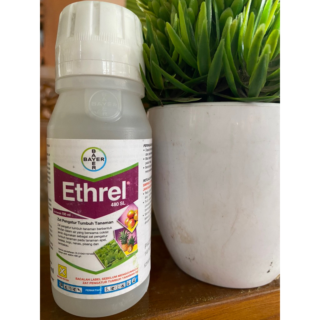 Jual Ethrel Buah 480 SL ZPT Pematang Buah Kemasan 100 ml | Shopee Indonesia