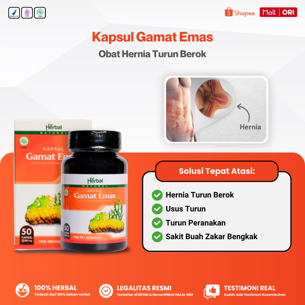 Jual Obat Hernia, Turun Berok, Turun Peranakan, Usus Turun, Sakit Buah ...