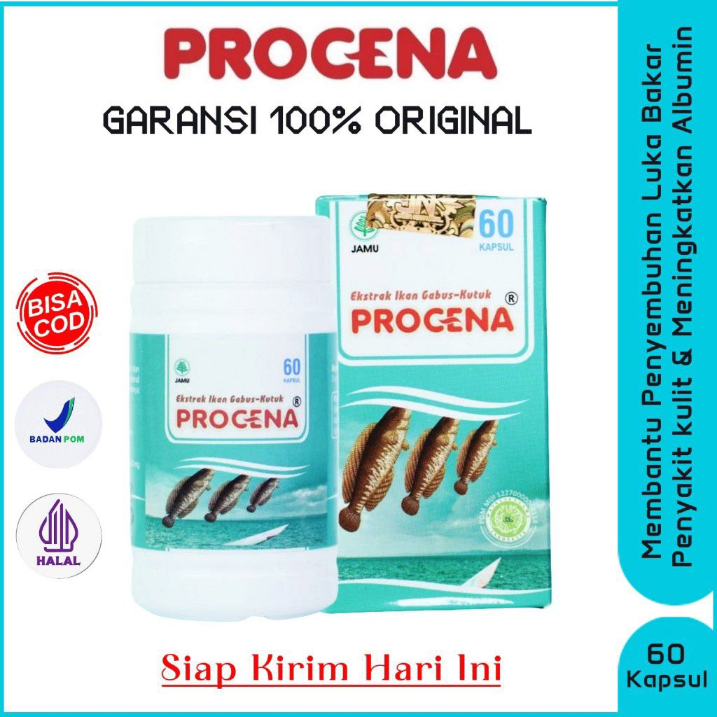 Jual PROCENA EKSTRAK IKAN GABUS/IKAN KUTUK ISI 60 PENYEMBUHAN OPRASI ...