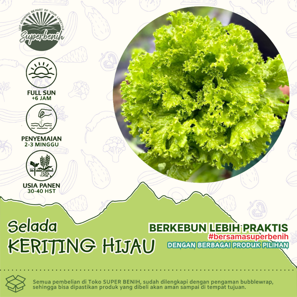 Jual Selada Terlengkap & Harga Terbaru Mei 2026 | Shopee Indonesia