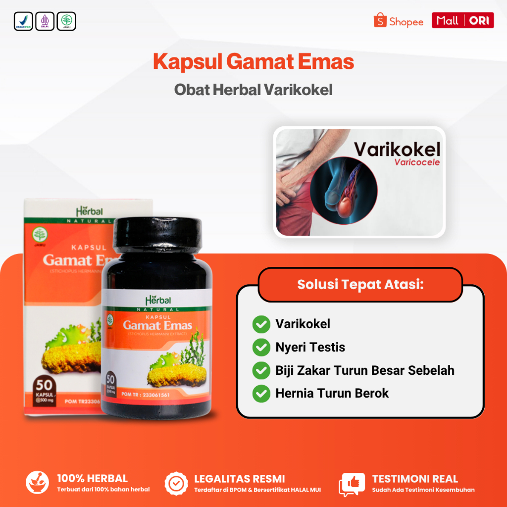 Jual Kapsul Gamat Emas - Obat Varikokel, Nyeri Testis, Biji Zakar Turun ...