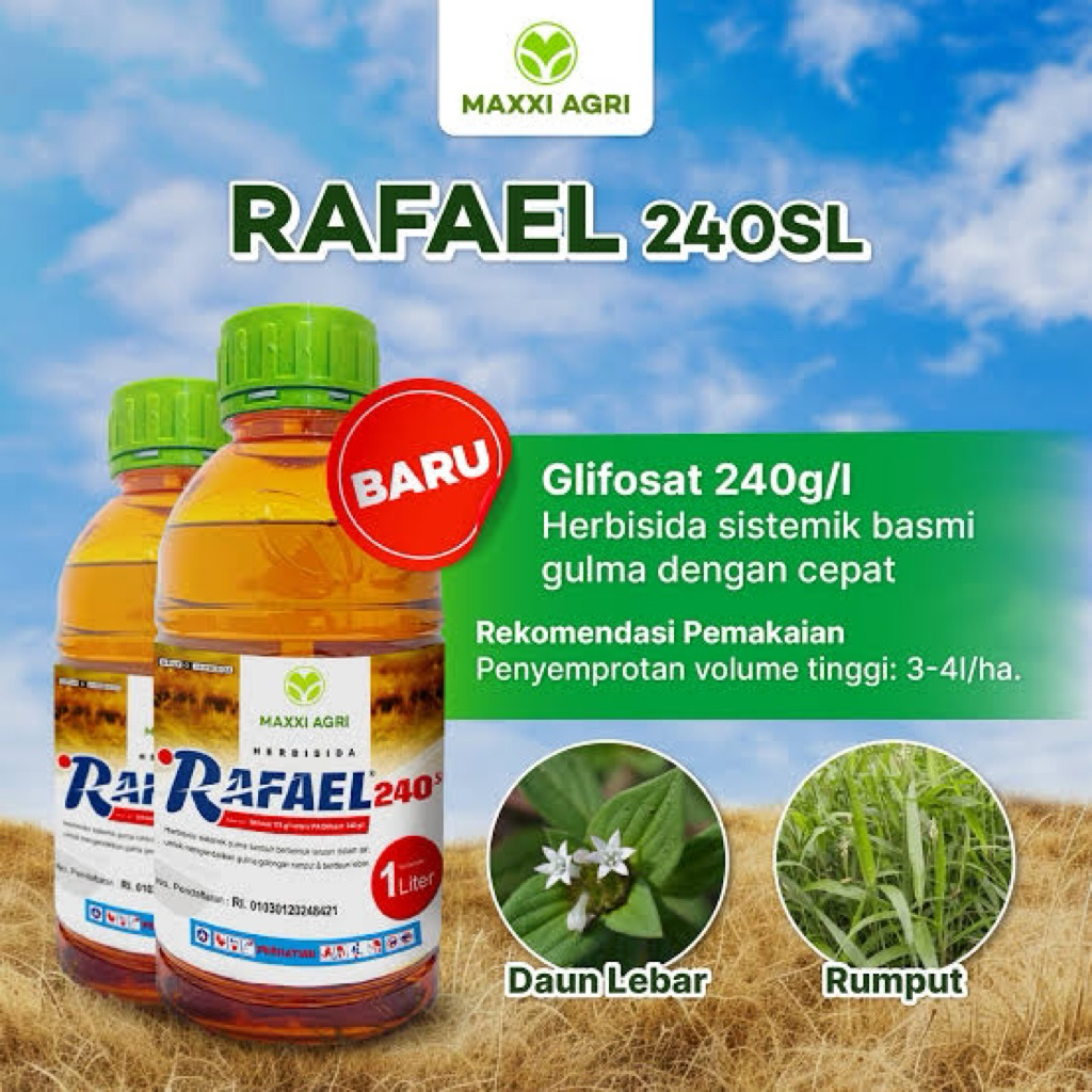 Jual Rafael 240sl herbisida obat rumput paling ampuh mati sampai akar ...