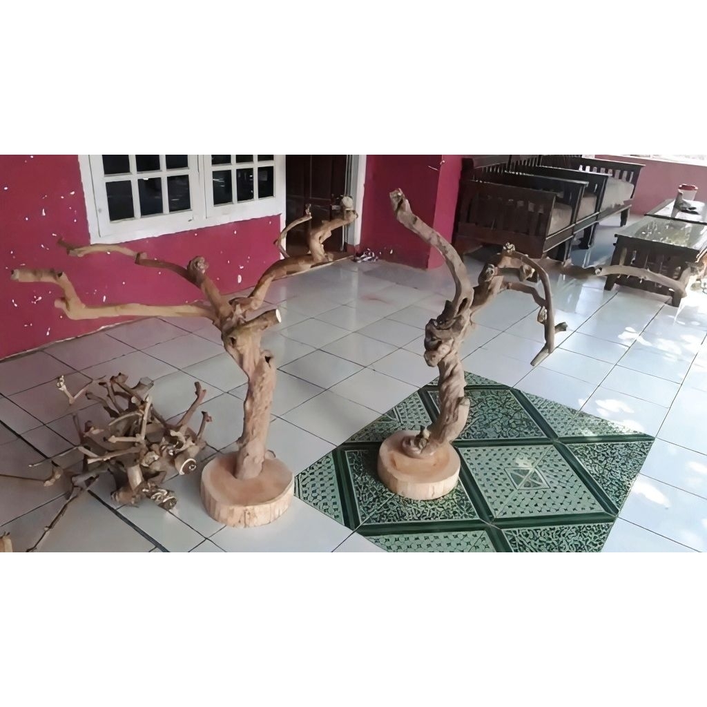 Jual Kayu kopi pohon kopi untuk tangkringan burung small medium Parrot ...