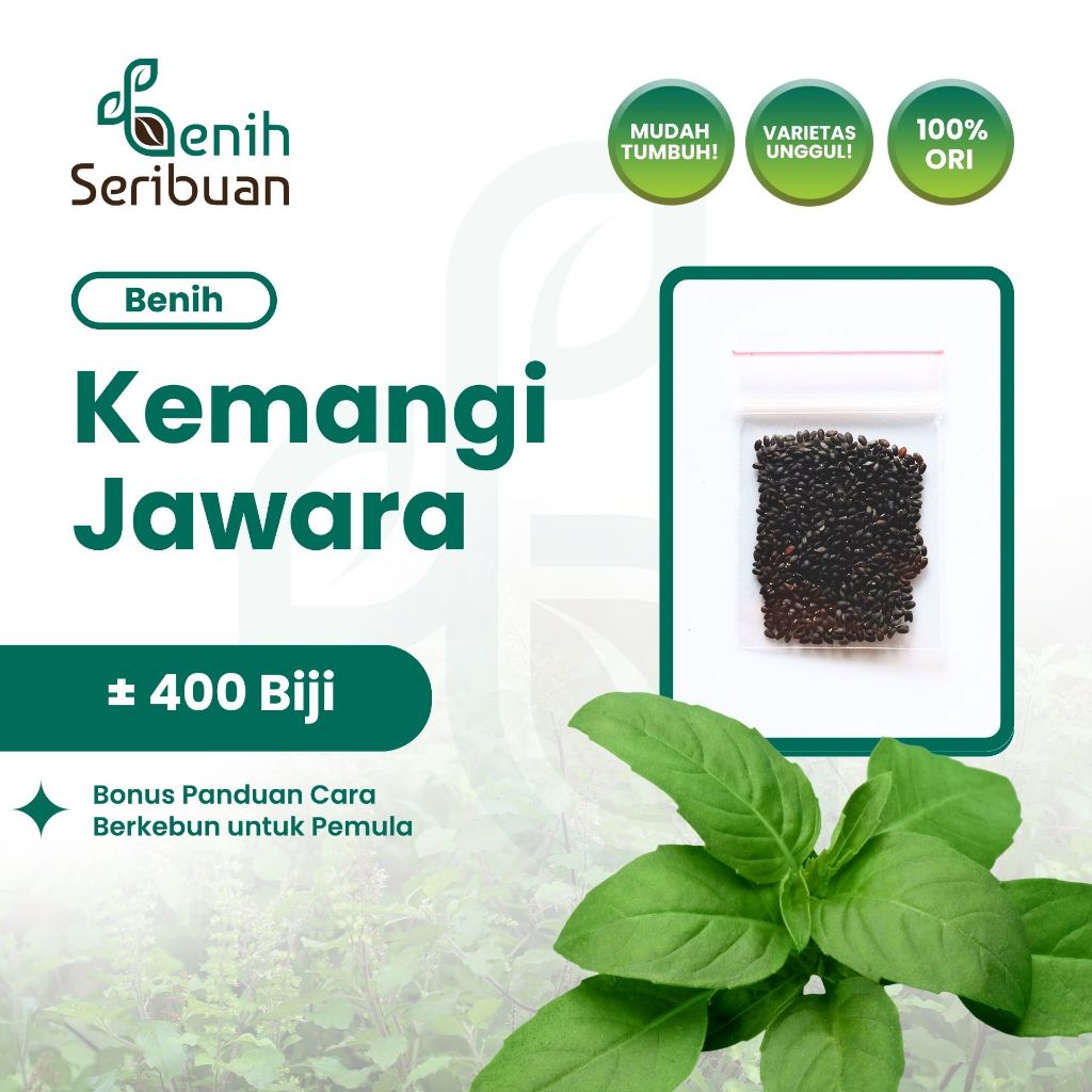 Jual Benih Seribuan - 400 Benih Sayuran Kemangi Jawara | Shopee Indonesia