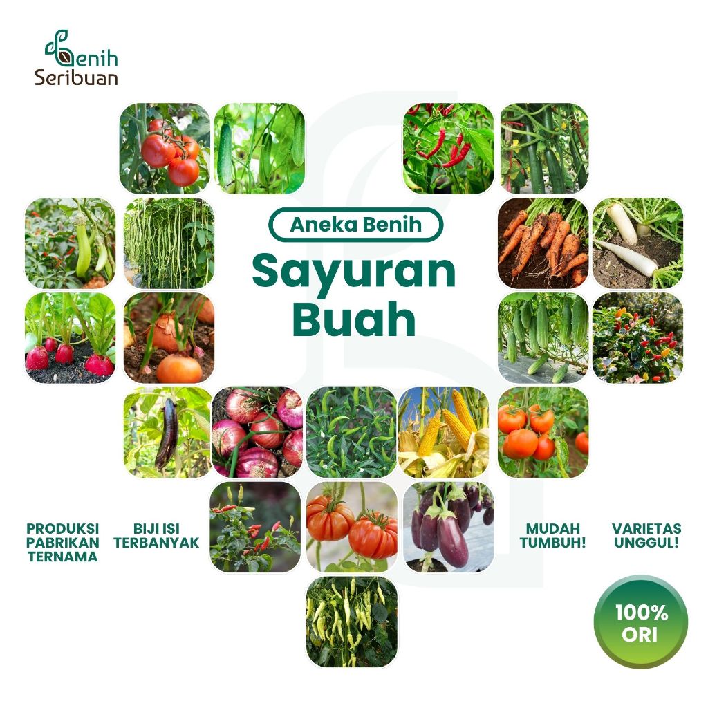 Jual BENIH SERIBUAN - Aneka Benih Sayuran Buah Varian Lengkap | Shopee ...