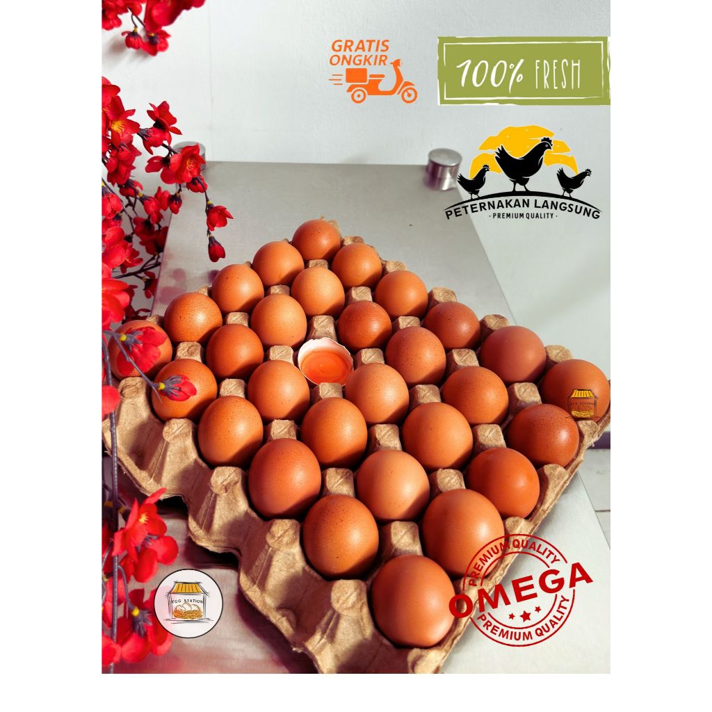 Jual Telur Ayam Negeri OMEGA 3 - 30 butir FRESH Grade A Bersih Kualitas ...