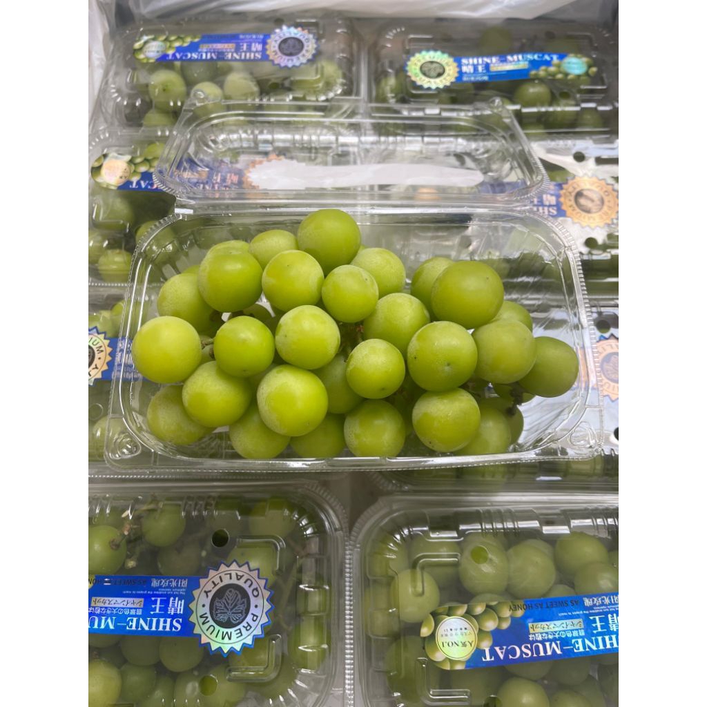Jual Anggur Shine Muscat Seedless | Shopee Indonesia