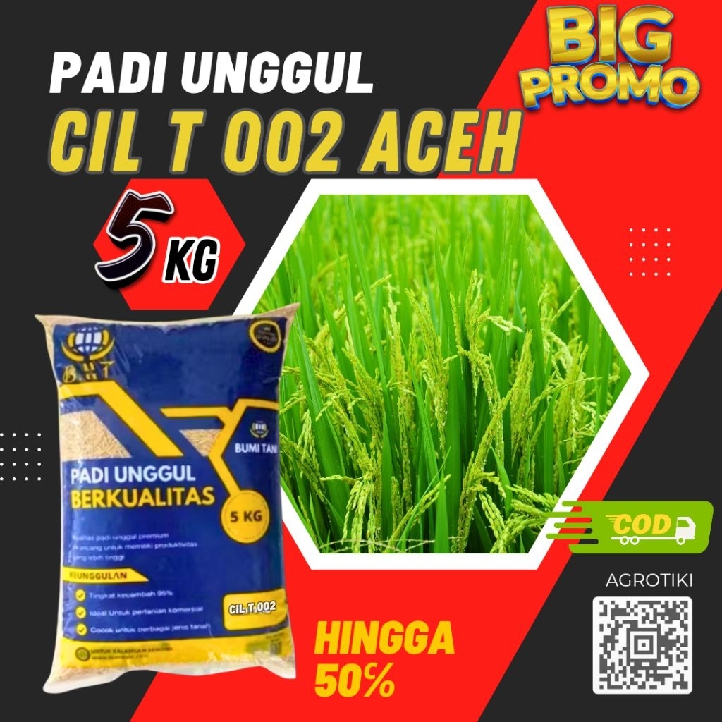 Jual benih padi unggul janaka berkualitas premium kemasan 5kg | Shopee Indonesia