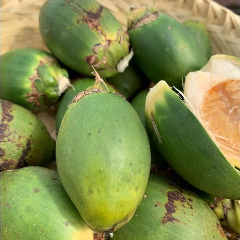 Jual Buah Pinang Muda 1kg isi 35± Butir Segar Tanpa Kimia yang sangat ...