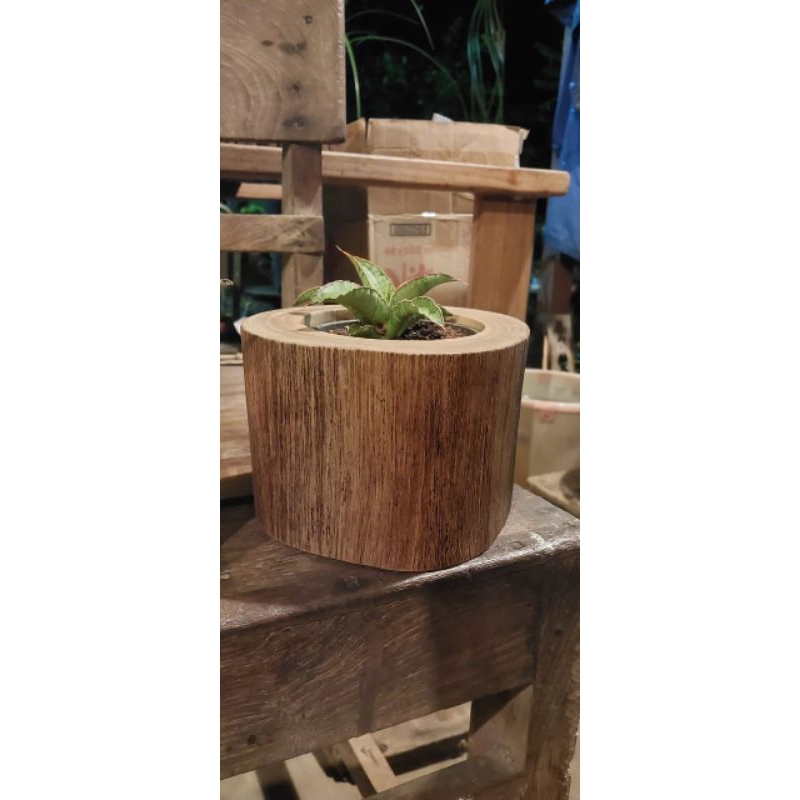 Jual Pot Kayu Jati | Shopee Indonesia