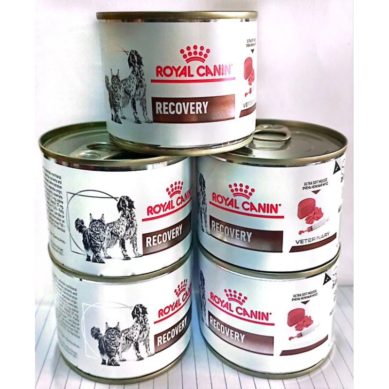 Jual Royal Canin RECOVERY 195gr Wet Food Cat & Dog (isi 12pcs) | Shopee ...