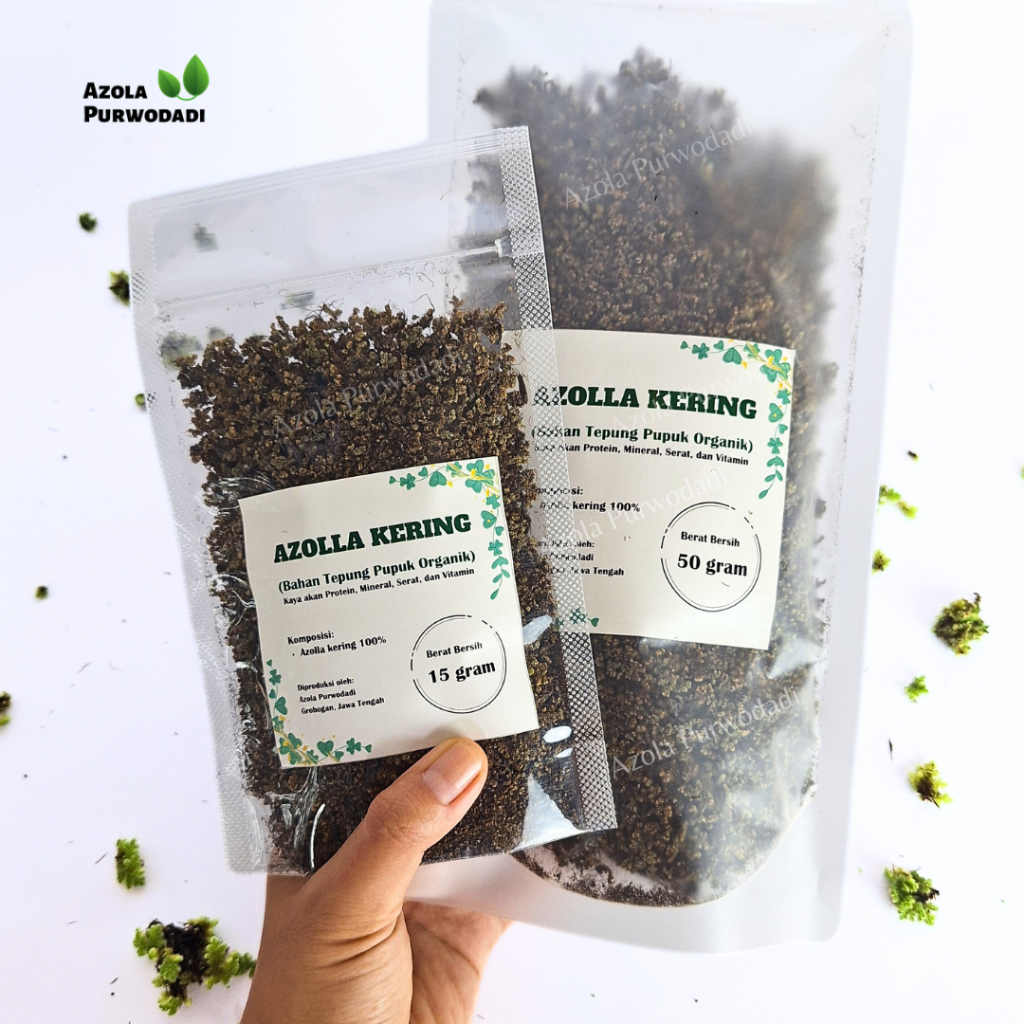 Jual AZOLLA KERING 100% - Azolla Microphylla Kering Bahan Pupuk Organik, Bahan Tepung Pellet ...