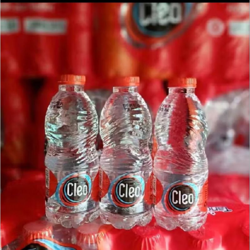 Jual CLEO AIR MINERAL 220ML 1 KRAT ISI 24PCS | Shopee Indonesia