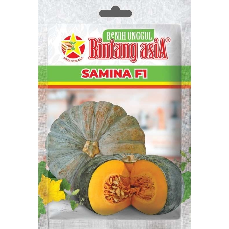 Jual Bibit - Benih Labu hibrida tahan virus Samina F1 10 gram Bintang ...