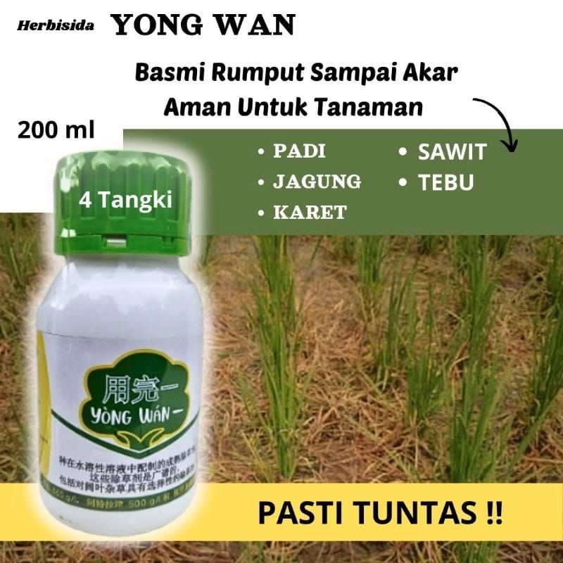 Jual YONGWAN YONG WAN HERBISIDA RACUN RUMPUT SISTEMIK SELEKTIF | Shopee Indonesia
