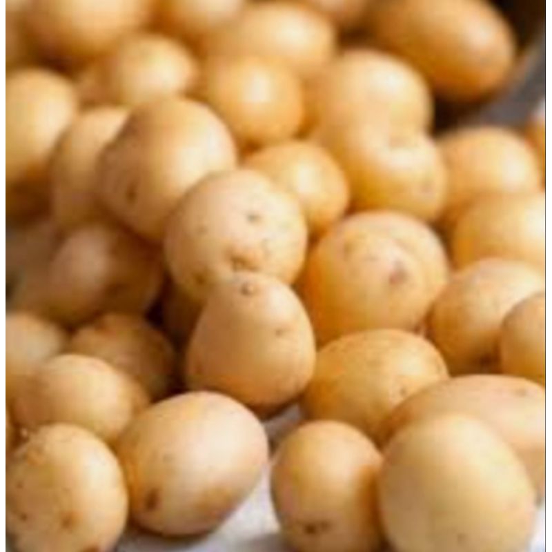 Jual KENTANG KUNING KECIL ( KENTANG RENDANG ) RP 6.000 / 500 gram ...