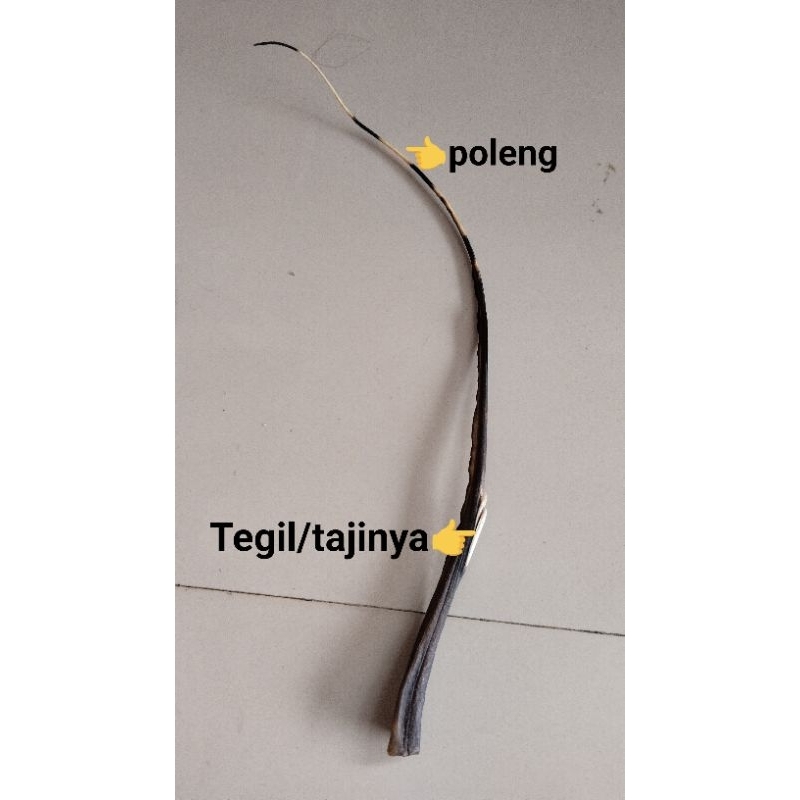 Jual Ikuh pai poleng tolk bala dan mjik | Shopee Indonesia