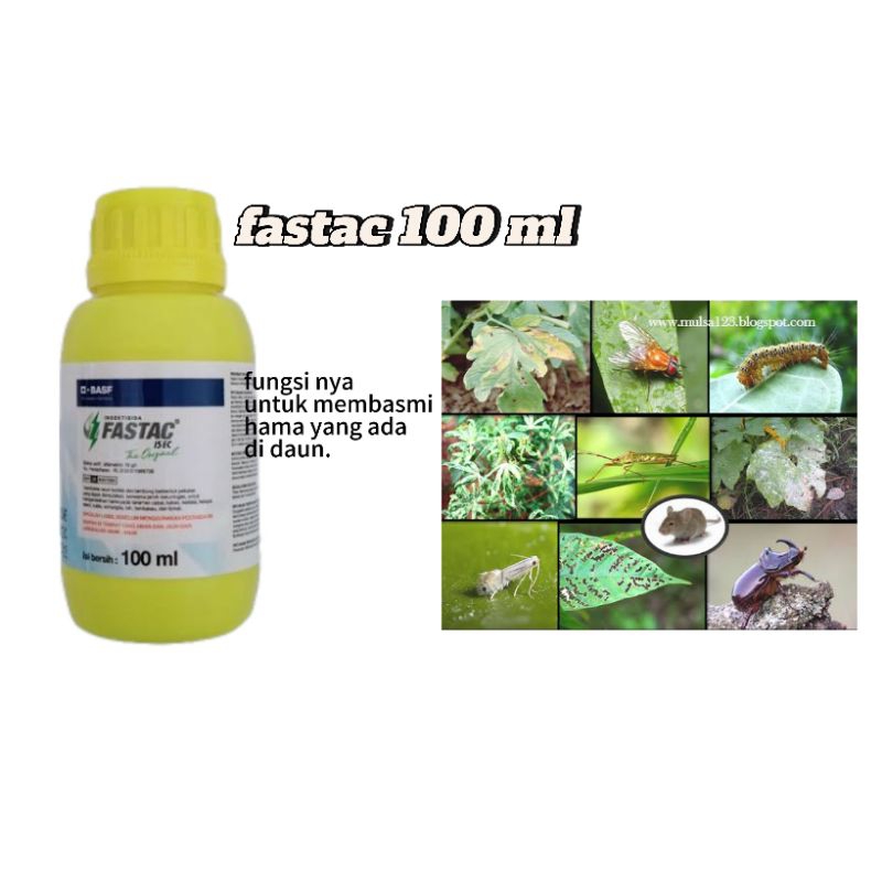 Jual Basf Fastac ISE 100 ml | Shopee Indonesia