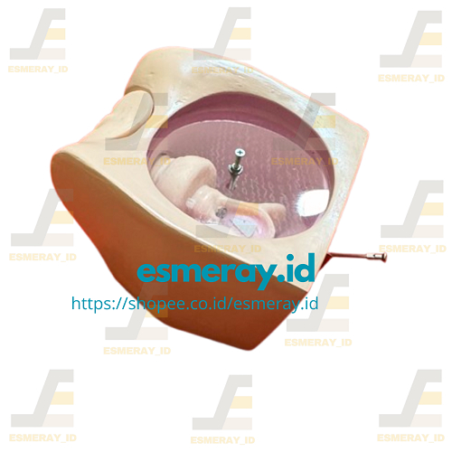 Jual Phantom/Manekin/Manikin Praktek Pemasangan IUD-Alat Peraga ...