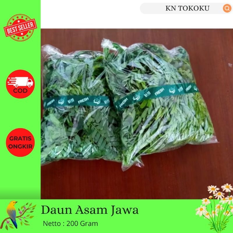 Jual Sinom Daun Asam Jawa 200 Gram Fresh | Shopee Indonesia