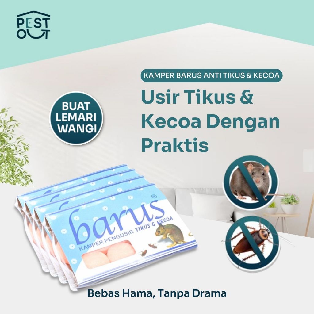 Jual Kamper Barus Tikus Pengusir Kecoa Tikus Rayap Isi 12 Pcs Kamper ...