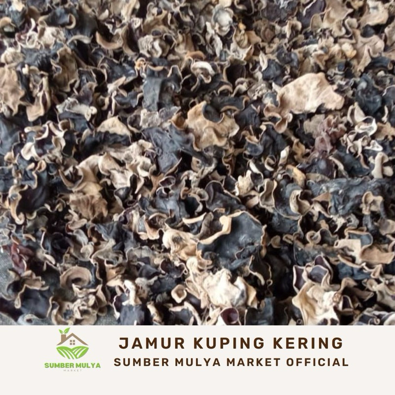 Jual JAMUR KUPING KERING HITAM GRADE A SUPER 100 GRAM/MURAH/MUSHROOM ...
